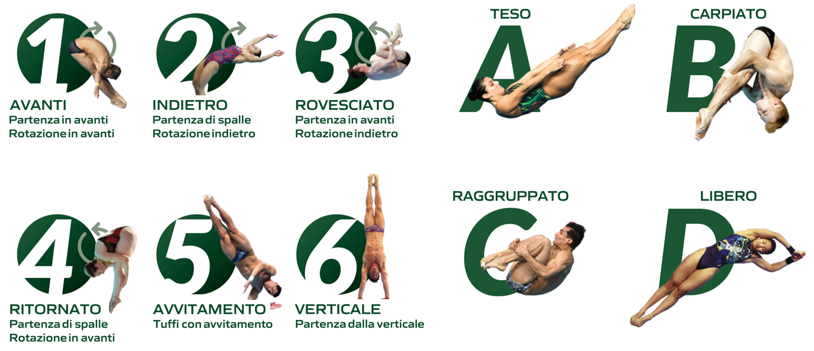 I tuffi: un affare di famiglia - Sportopolis